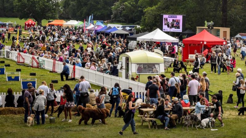 Event Power Engineering Ltd - Specialist Event Power Suppliers